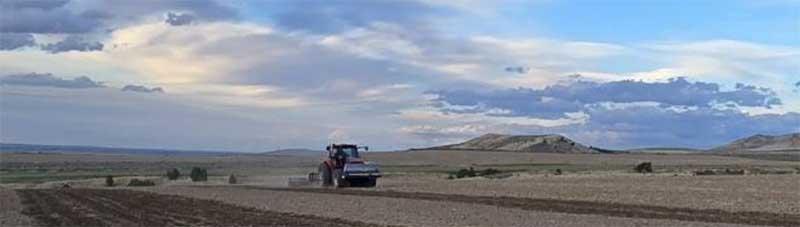 News - Trident Ag Products